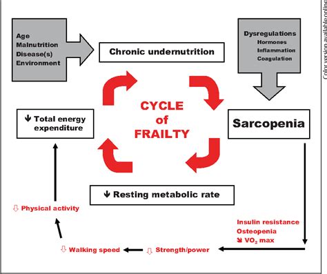Frailty Syndrome