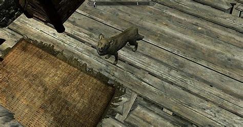 Get This Guy An Inhaler Imgur