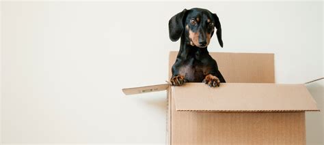 Allow Your Users To Choose Drupal Entities With The Entity Browser