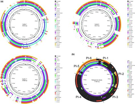 Identification And Characterization Of Ompt Like Proteases In
