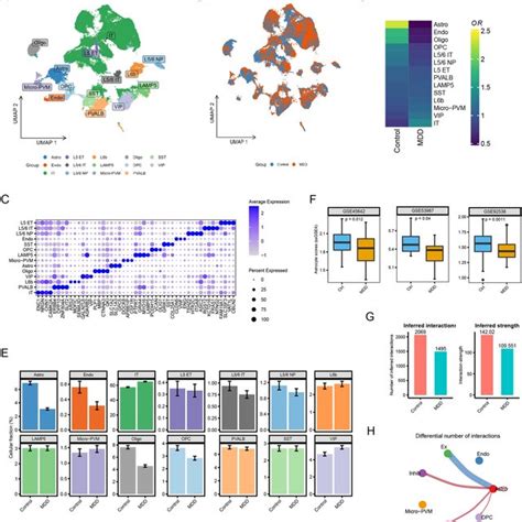 Single Cell Gene Expression Profiling Of Pfc Derived From Postmortem