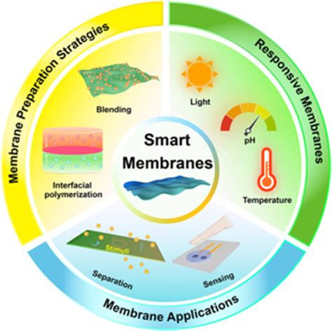 Smart Membranes For Separation And Sensing Pmc