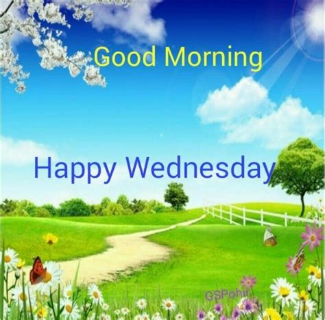 Happy Wednesday