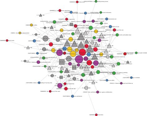 Context Network Codes C Context P Participant Case Group Ev