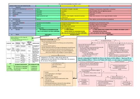 Planes De Rehidratación Abc Karol Pdf Especialidades Medicas