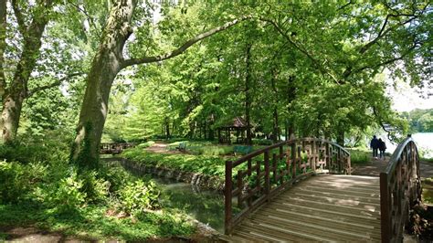 Lyon Parc De La Tête Dor Urban Park Walking Tour Getyourguide