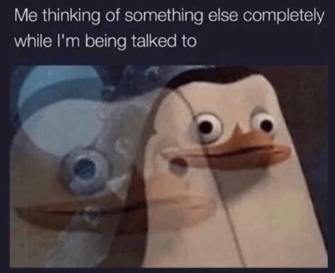 This Introvert Meme Is Spot On Rintrovertmemes