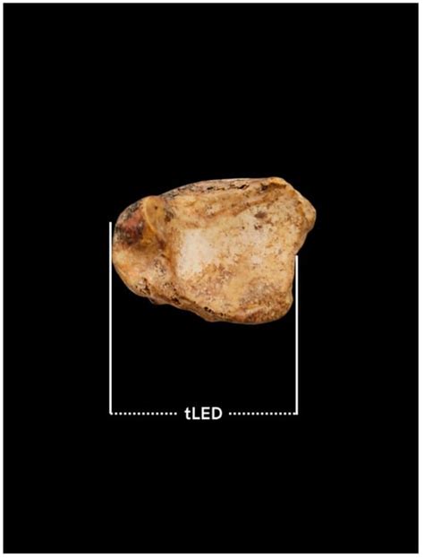 Forensic Sciences An Open Access Journal From Mdpi