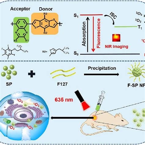 Scheme 1 A Molecular Structure Of The Semiconductor Polymer Sp And