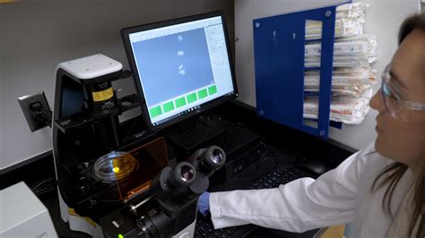 Video Examining The Dynamics Of Cellular Adhesion And Spreading Of