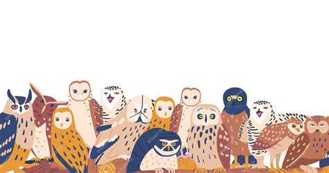 Premium Vector Seamless Pattern Featuring Adorable Owls In Various