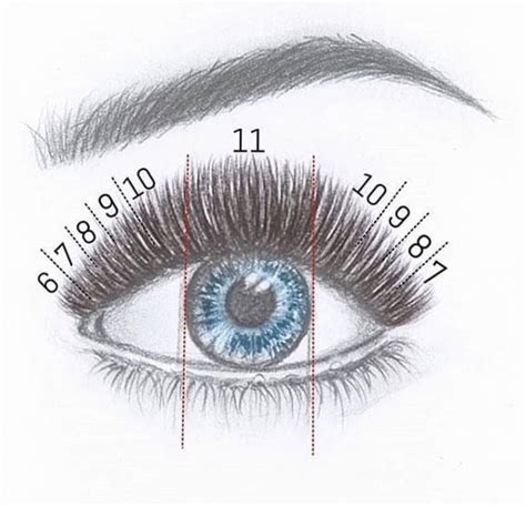 Online Classic And Premade Volume Lash Course → Doll Eye Map Lash Addict Lashes