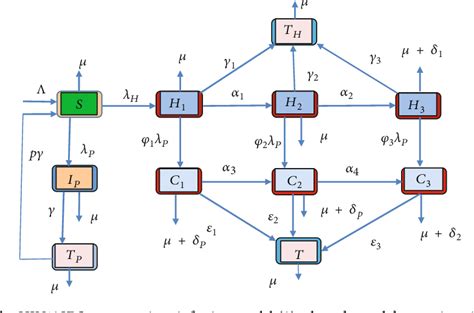 Figure 1 From Hivaids Pneumonia Coinfection Model With Treatment At Each Infection Stage