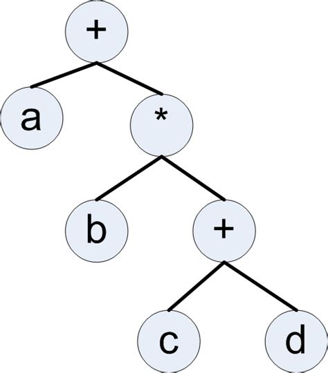 Topic 10 Tree Data Structures COP3530