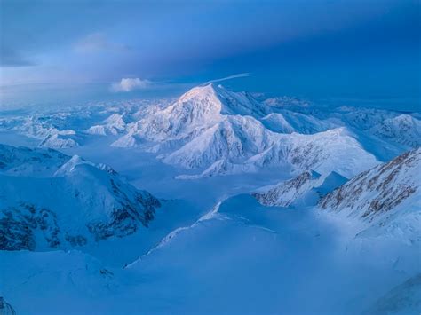 Denali Winter Solo Blackyak Shop