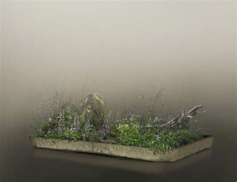 The Art Of Balance James Seows Exploration Of Nature Culture And Digital Worlds My Framer Site