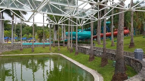 Six Flags Hurricane Harbor Oaxtepec 2021 Lo Que Se Debe Saber Antes
