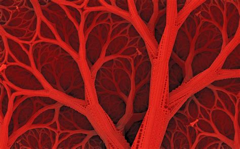 Structure Wallpapers Top Free Structure Backgrounds Wallpaperaccess