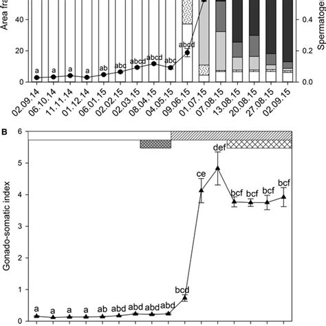 Area Fractions Of Stages In Spermatogenesis And Spermatogenic Maturity