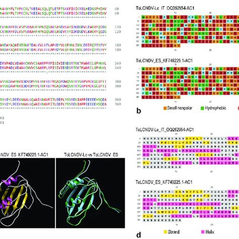 Structure Based Sequence Alignment Of The Ac1 Protein From Tolcndv Le