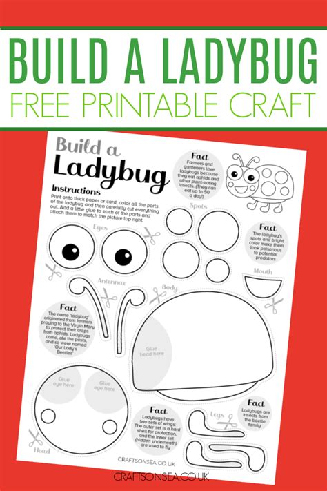Build A Ladybug Printable Free Pdf Crafts On Sea Ladybug Crafts