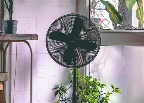 پنکه تولیپس خرید و قیمت 6 مدل پرفروش