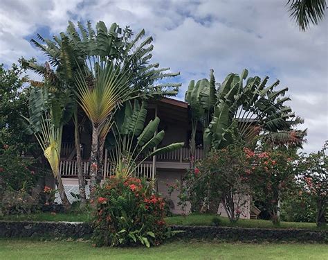 Selectree A Tree Selection Guide Tree Garden Plants