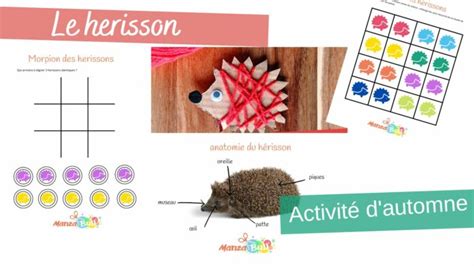 Activités Sur Le Thème Du Hérisson Manzabull
