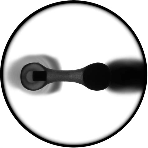 3d Tissue Contractility Acquisition And Analysis — Curi Bio