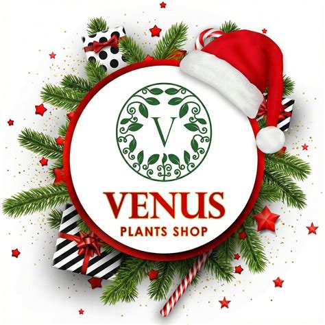 အုန်းစိမ်းandအုန်းကြား ချိတ်ဆွဲအပင် 🌿 အိမ်လေးကို အလှဆင်ဖို့ ချိတ်ဆွဲအပင