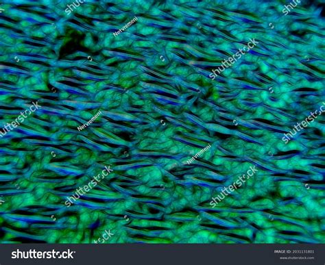 Variegated Multicolored Background Based On Image Stock Illustration