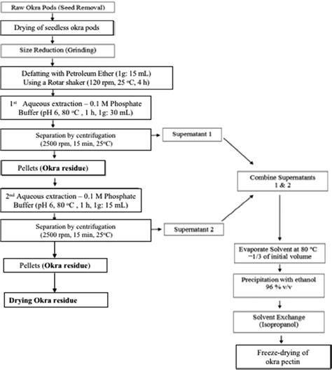 Pectin Extraction And Okra Residue Preparation Download Scientific