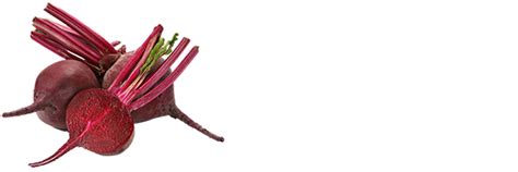 Natural Food Colors Vibrant Clean And Eco Friendly