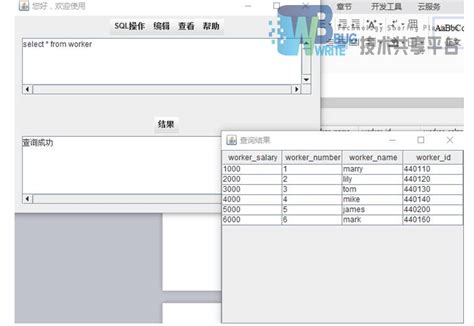[源码和文档分享]数据库敏感数据加解密系统的设计与实现 csdn博客