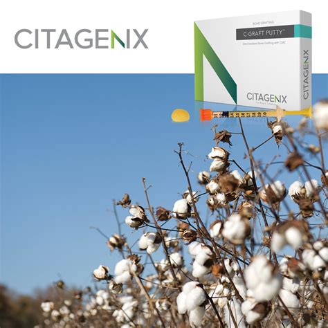 C Graft Putty™ — Frontline Implants