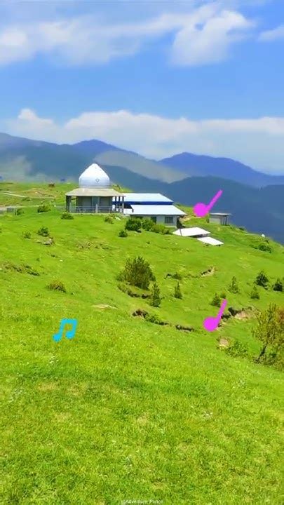 ماجی شہید ازاد کشمیر Youtube