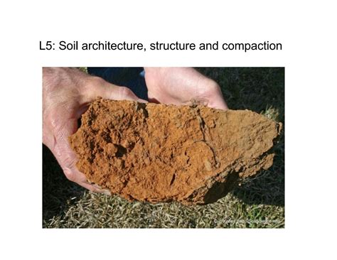 Solution 5 Soilarchitecture Studypool Solution 5 Soilarchitecture Studypool