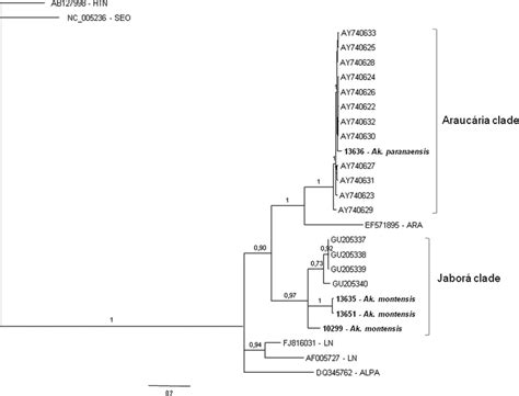 Bayesian Phylogenetic Analysis Of Partial S Segment Sequences From