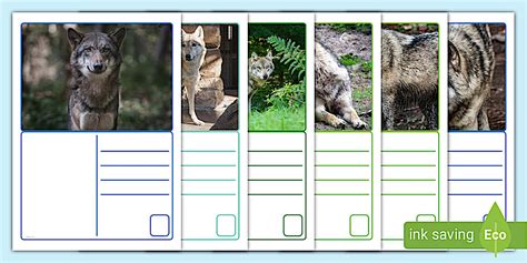 A Wonderful Collection Of Wolf Postcards Twinkl Ks2