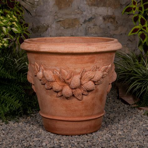 Terracotta Pots For Tomatoes