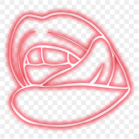 Sexy Neon Images Free Photos Png Stickers Wallpapers And Backgrounds