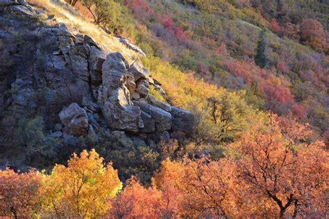5 Places To See Fall Leaves In Davis County Discover Davis Discover