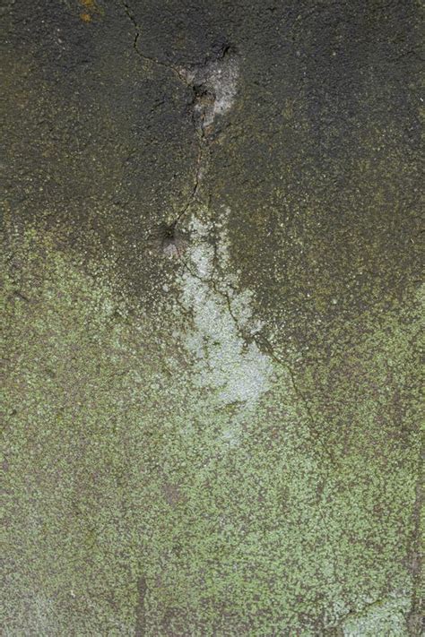 Mildew And Moss Covered Concrete Texture Stock Image Image Of
