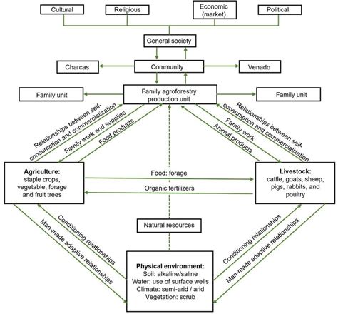 Upaf Model Adapted From Martínez Saldaña 1985 Download Scientific Diagram