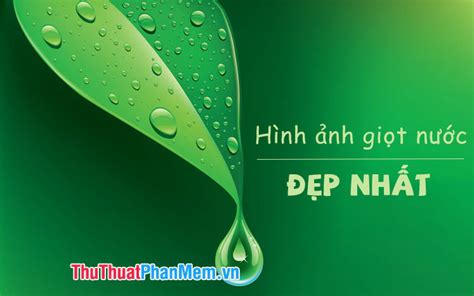 Tô Màu Giọt Nước Màn Trình Diễn Màu Sắc Tuyệt đẹp Bấm Vào để Khám Phá