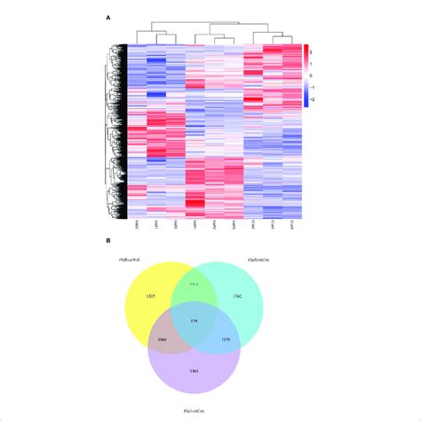 A Differentially Expressed Gene Clustering Heat Map In The Figure