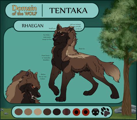 Rhaes Model Sheet By Wynbird On Deviantart