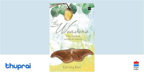 Buy The Weavers The Curious World Of Insects In Nepal Thuprai