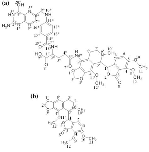 Molecular Structure Of A Folate Noscapine Targetin And B Noscapine