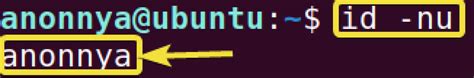 The Id” Command In Linux 7 Practical Examples Linuxsimply